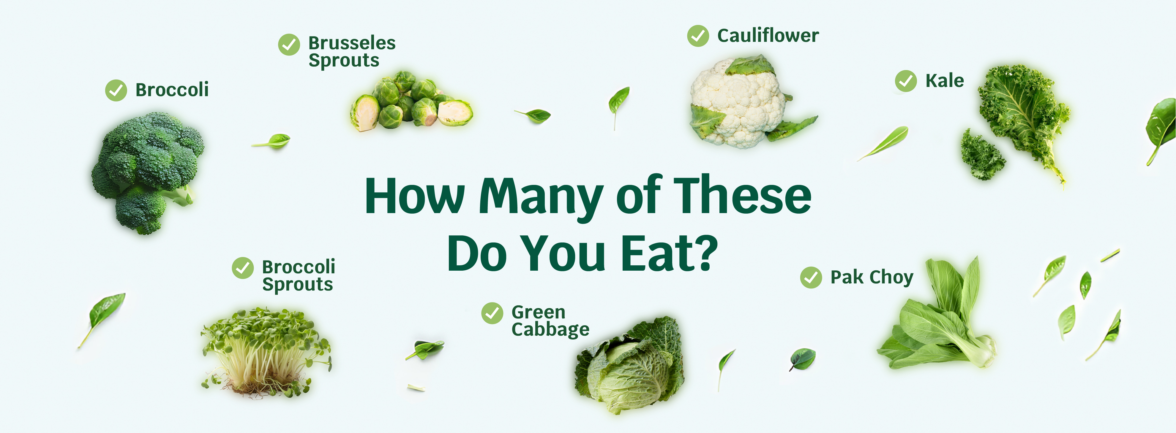 Cruciferous Vegetables Explained 🥦🥬